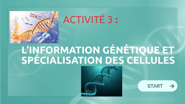 Activité 3 ADN seconde | Genially