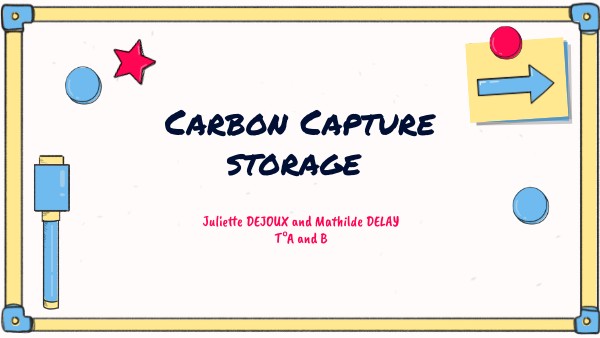 Carbon Capture storage DEJOUX DELAY