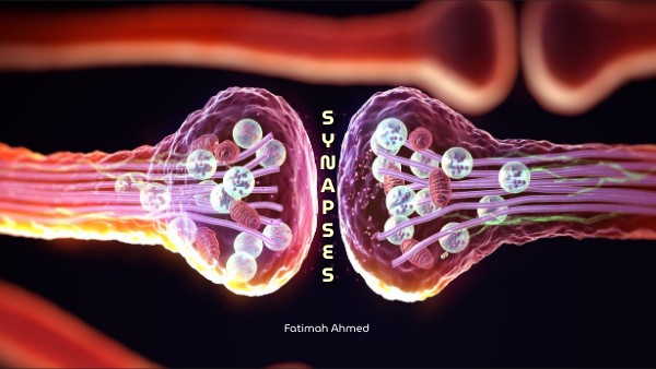 CHEMICAL SYNAPSE presentation | Genially