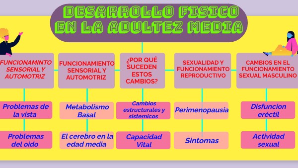 Desarrollo físico en la adultez media