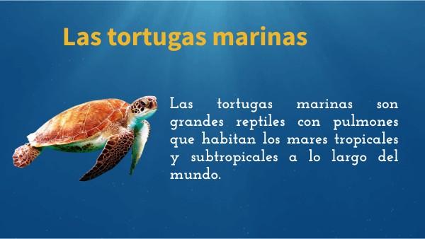 Texto Expositivo TORTUGAS MARINAS | Genially