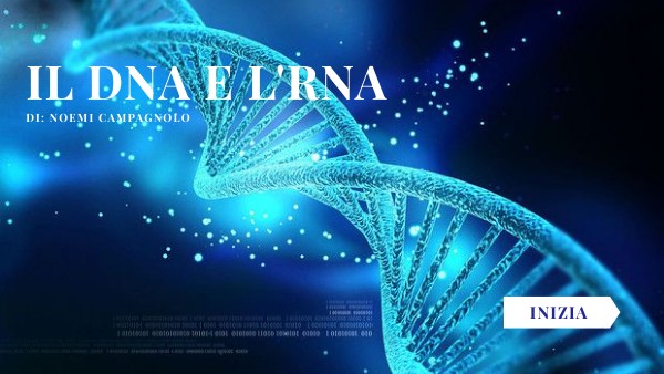 Il DNA e l'RNA