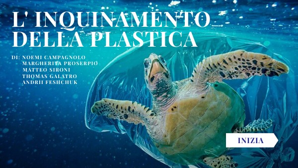 L'inquinamento della plastica