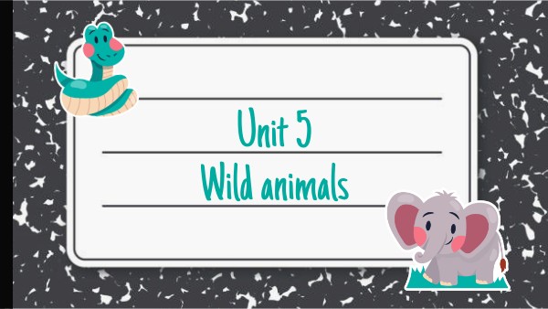 5 5 Wild Animals