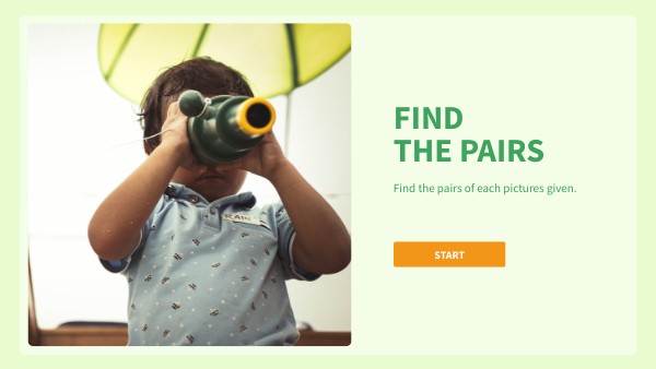 FIND THE PAIRS