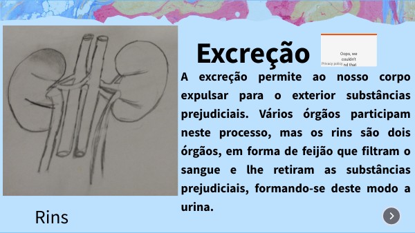 excreção