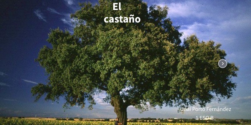 Castaño