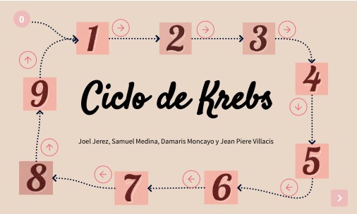 Ciclo de Krebs | Genially