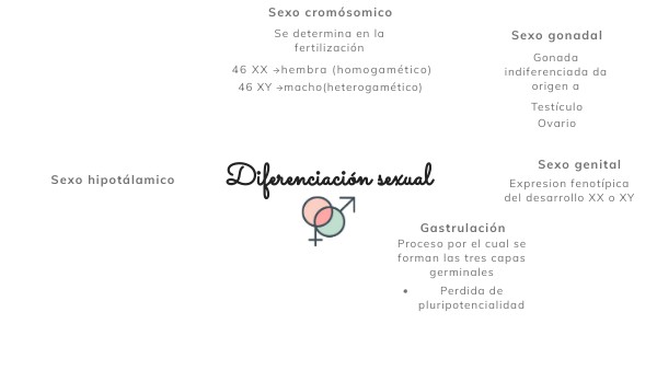 T1_Selene Hernández Monroy