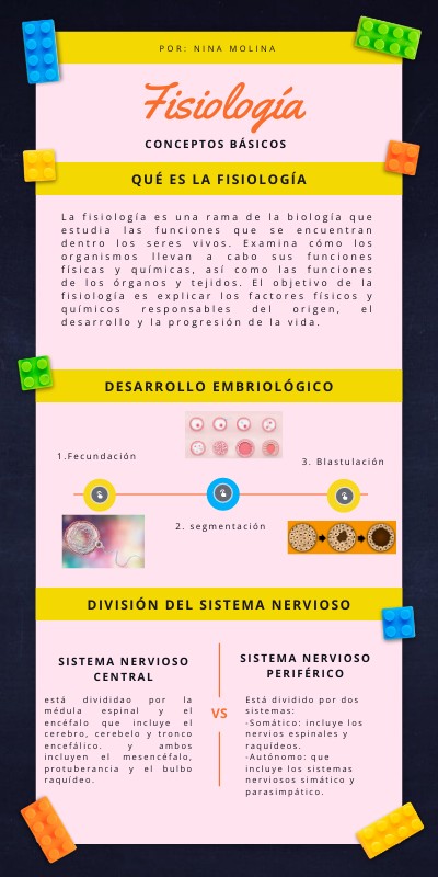 INFOGRAFIA DE LA EMBRIOLOGIA SISTEMA NERVIOSO