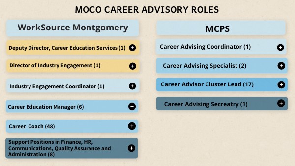 MOCO Career Advisory Roles