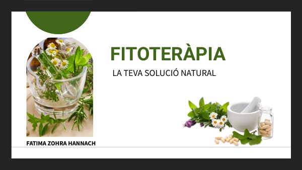 PRESENTACIÓN MEETING PLAN | Genially