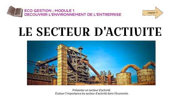 Le secteur d'activité | Genially