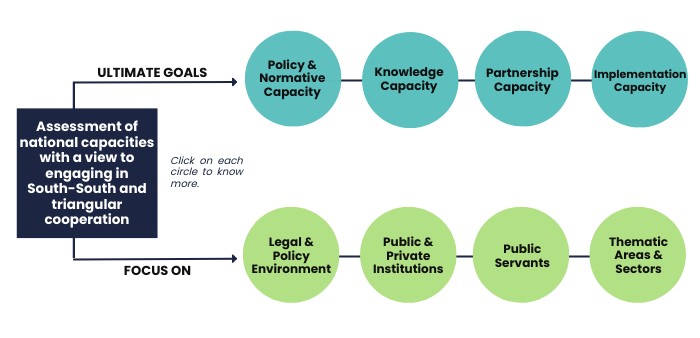 SS_Capacity Analysis