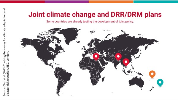 DRR-CCA Joint policies