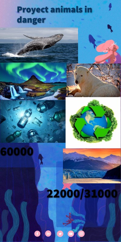 proyect animals in danger