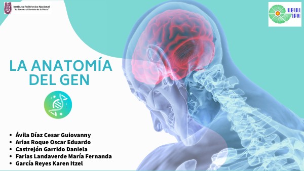 La anatomía del gen | Genially