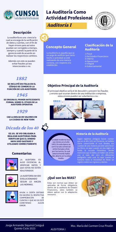 LA AUDITORIA COMO ACTIVIDAD PROFESIONAL | Genially