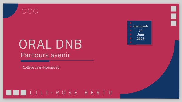 Copie - BASIC SHAPES DOSSIER