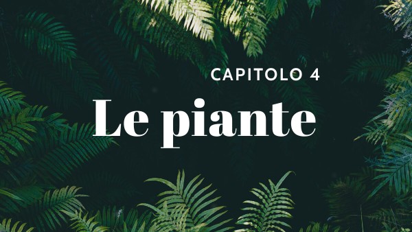 1B: Capitolo 4_Le piante | Genially
