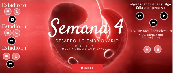 Cuarta semana "La mas importante"