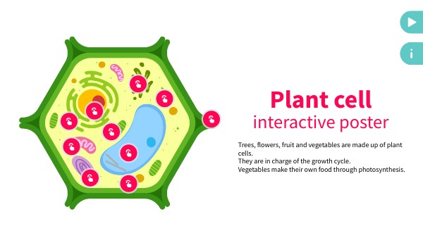 Plant cell - CLIL activity