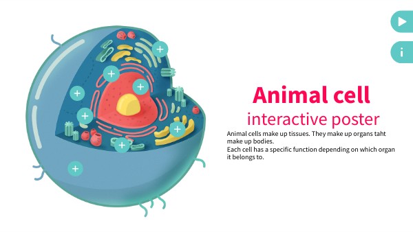 Animal cell - CLIL activity