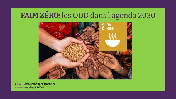 TRABAJO FRANCÉS: Faim Zéro