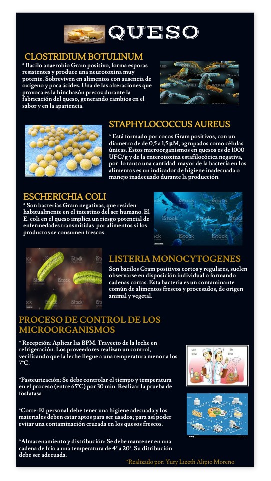 INFOGRAFIA QUESO | Genially