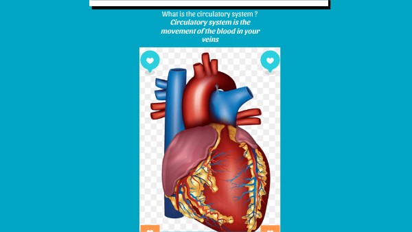 presentacin del circulatory system