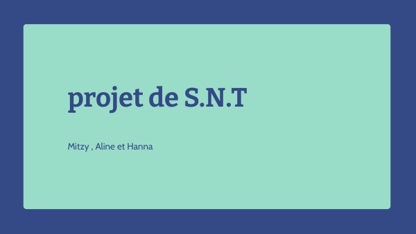 projet de SNT | Genially