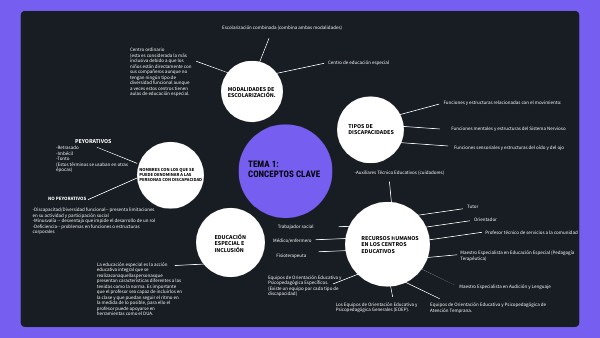 MAPA CONCEPTUAL TEMA 1