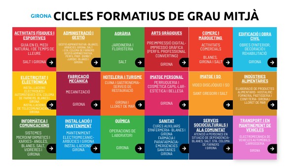 CICLES FORMATIUS DE GRAU MITJÀ