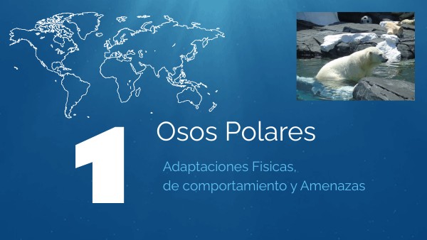 PRESENTACIÓN OSOS POLARES