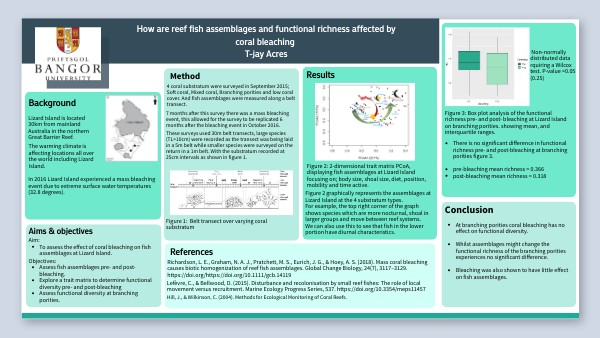 scientific poster