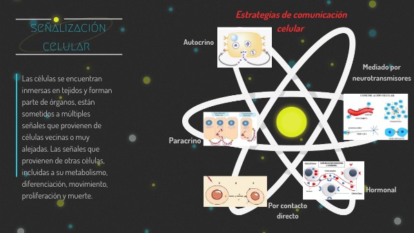 Señalización Celular. | Genially