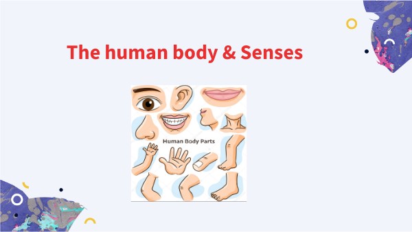 HUMAN BODY