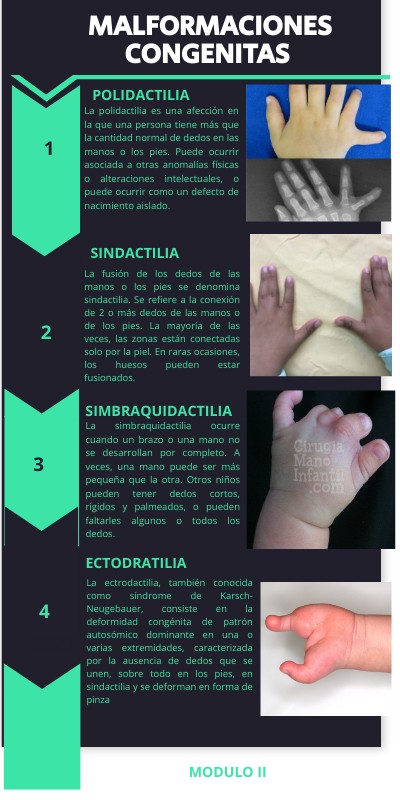 TIMELINE FLECHAS | Genially