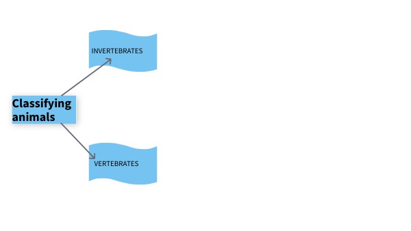 classifying animals