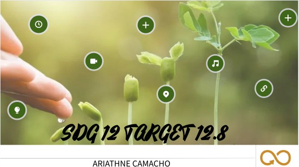 SDG 12