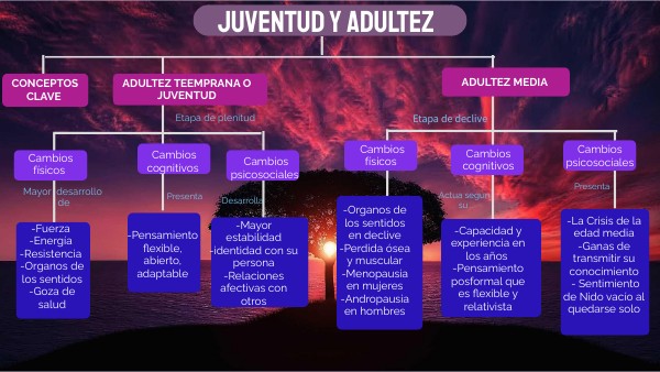 R2 JUVENTUD Y ADULTEZ- NORMA | Genially