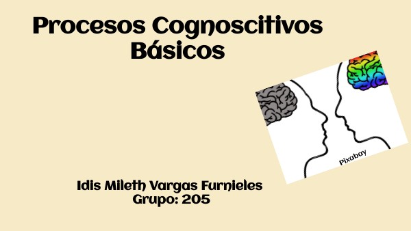 Procesos Cognoscitivos Básicos