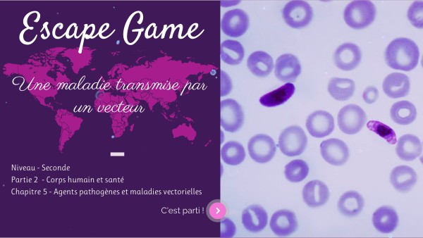 Une maladie vectorielle seconde | Genially