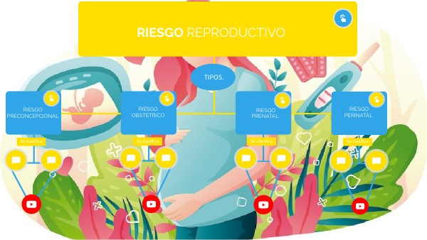 MAPA CONCEPTUAL RIESGOS EN SALUD REPRODUCTIVA