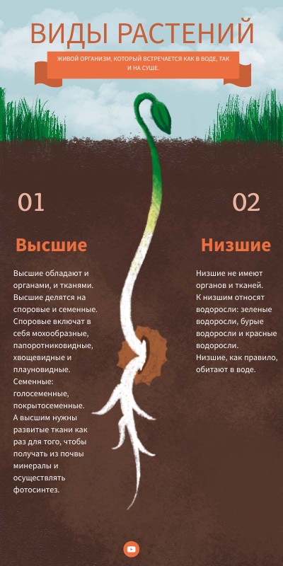 Естествознание
