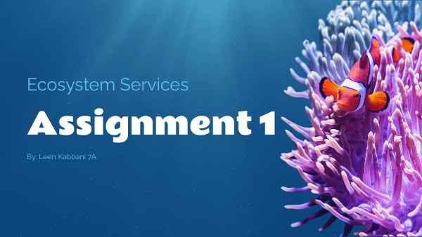 Assignment 1 (Ecosystem services) Leen Kabbani 7c