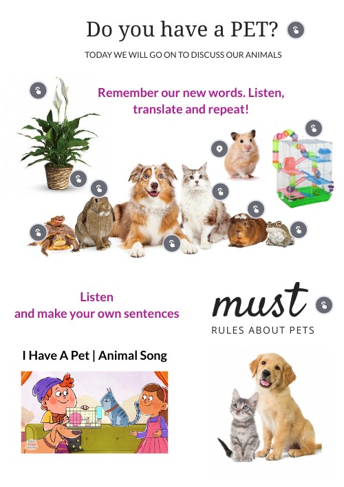 1 PETS