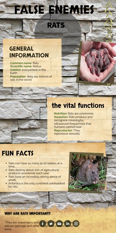 INFO VERTICAL DINOSAURIOS