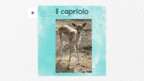 Il Capriolo