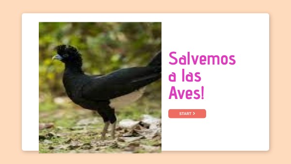 Misiones Aves de Colombia | Genially